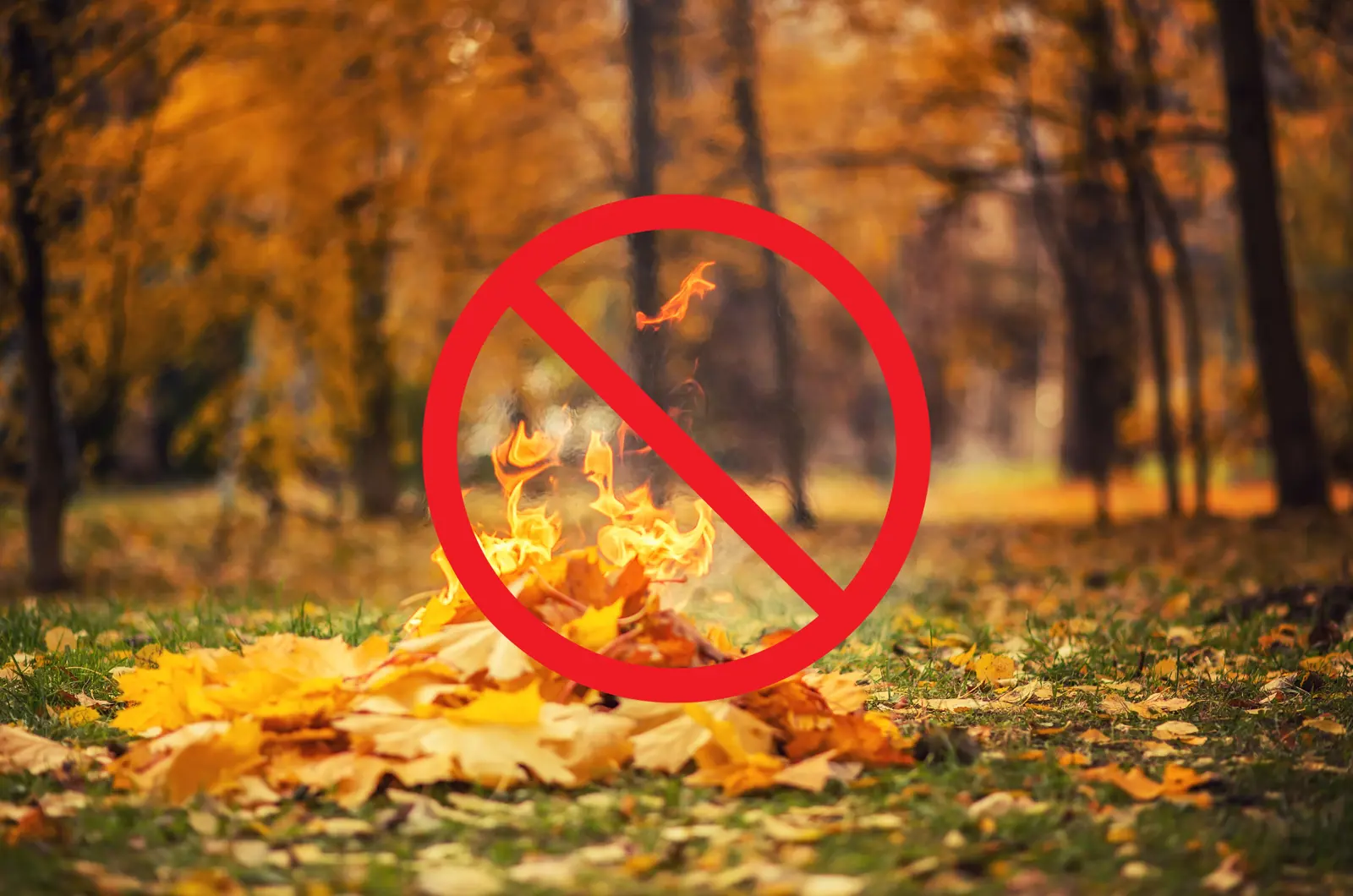 Fire | City of Prince Albert