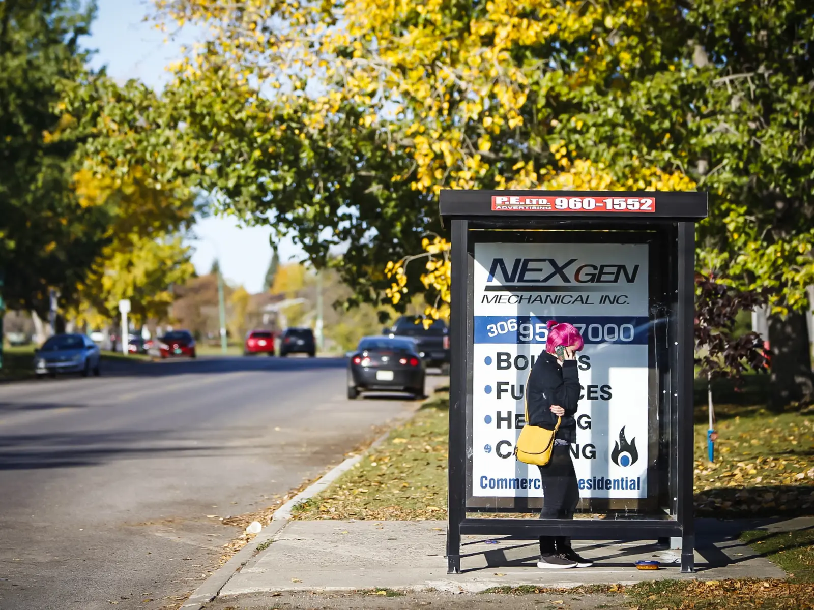 Transit News | City of Prince Albert